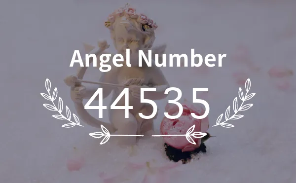 エンジェルナンバー44535の意味を神崎美希が紹介